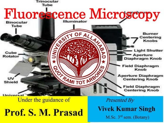 Electron microscope ppt | PPT