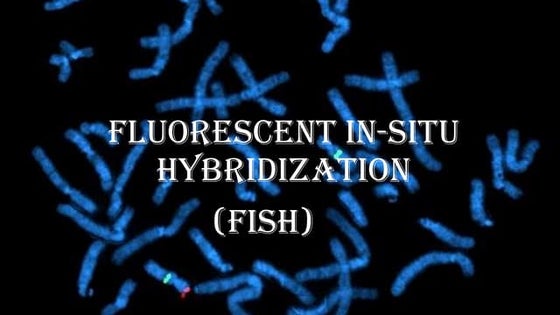 Fluorescent in situ hybridization (FISH) | PPTX