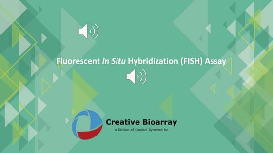 Fluorescent in-situ Hybridization (FISH) | PDF