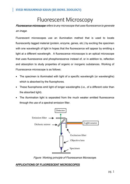 Tutorial how to make and use a standard curve gel electrophoresis ...