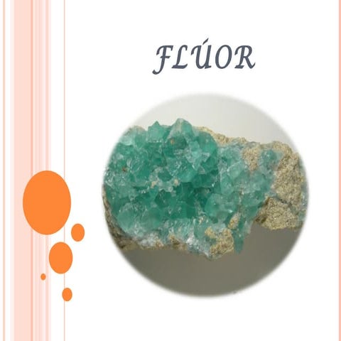 Fluor expo. | PPT