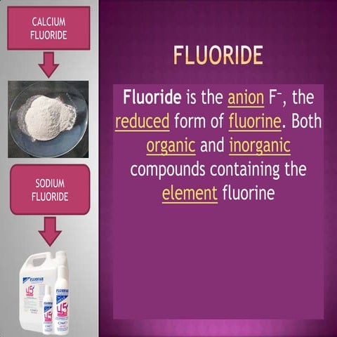 Fluoride Sara Ortiz | PPTX