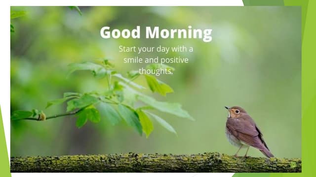 MECHANISM OF ACTION OF FLUORIDE | PPTX