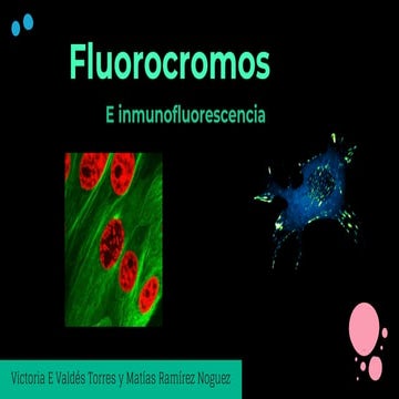 Fluorocromos y aplicaciones en inmunofluorescencia | PPT