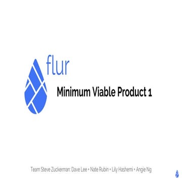 Flur mvp1 | PDF