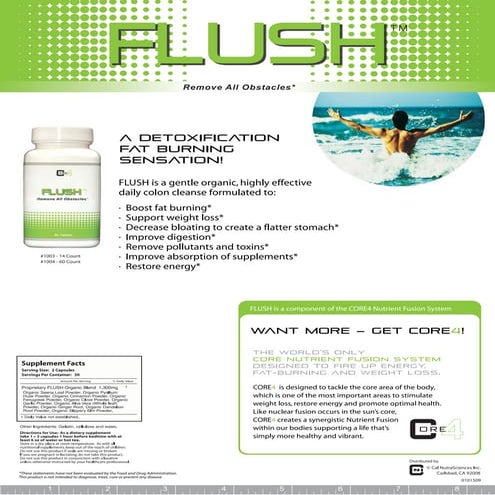 Flush | PDF