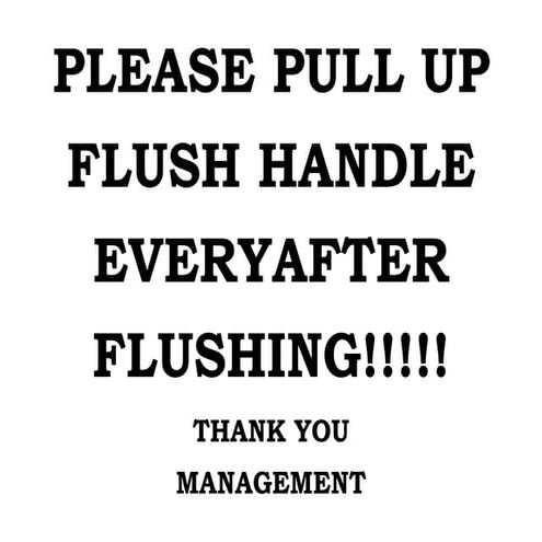 Flush (1) | DOCX