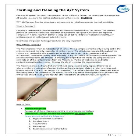 Flushing and cleaning(en) | PDF