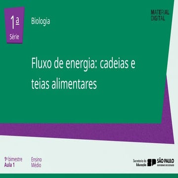 Fluxo de energia cadeias e teias alimentares.pptx