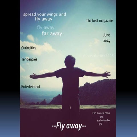 Fly away!! | PPTX