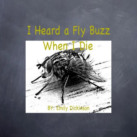 Fly buzz ppt | PPT