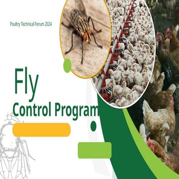 Fly Control Program To Understand and Control Fly | PPT