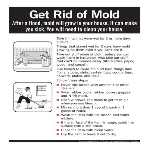 Get Rid of Mold | PDF