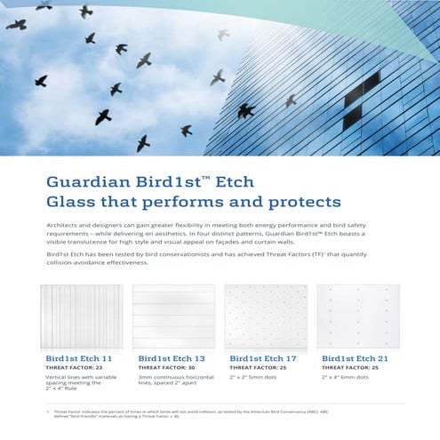 flyer_bird1st-etch_us_overview_072021.pdf