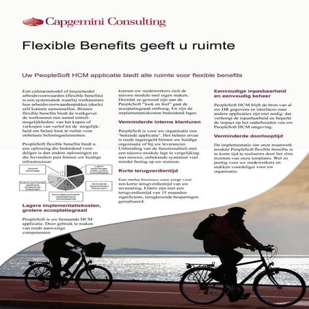 Flyer Flexible Benefits | PDF