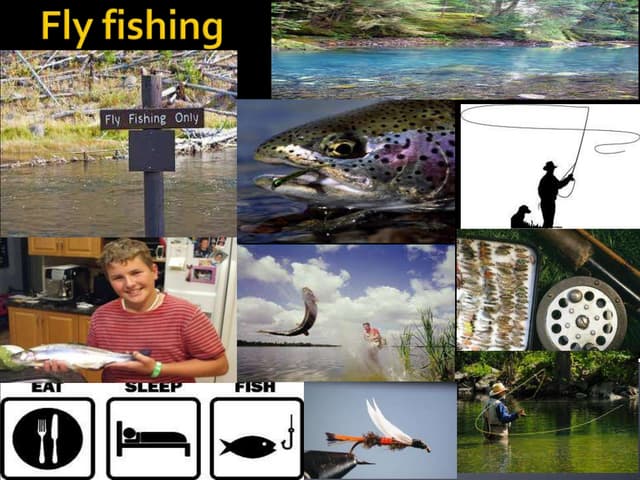 Spearing, Harpooning and Shooting fish.pptx