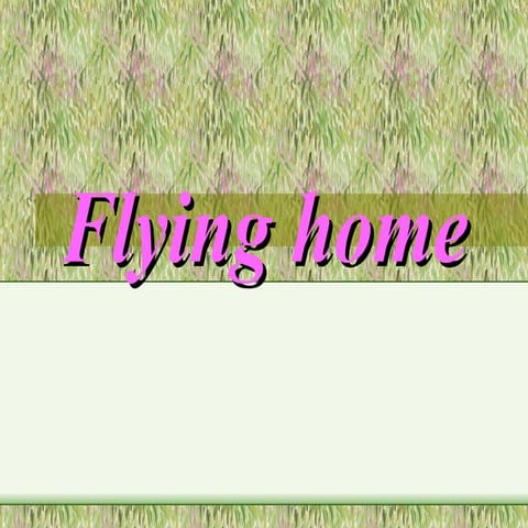 Flying home | PPT