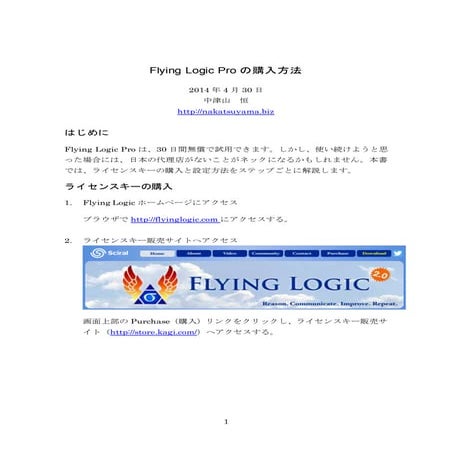 Flying Logic Proの購入方法 | DOCX