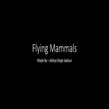 Flying mammals | PPTX