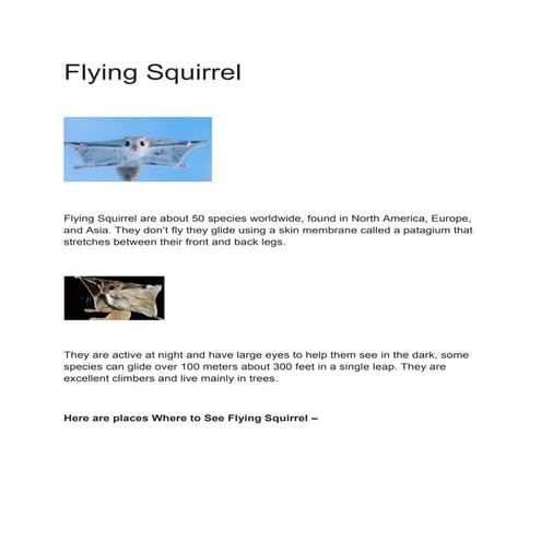 flying Squirrel are found in North America india japan europe | PDF