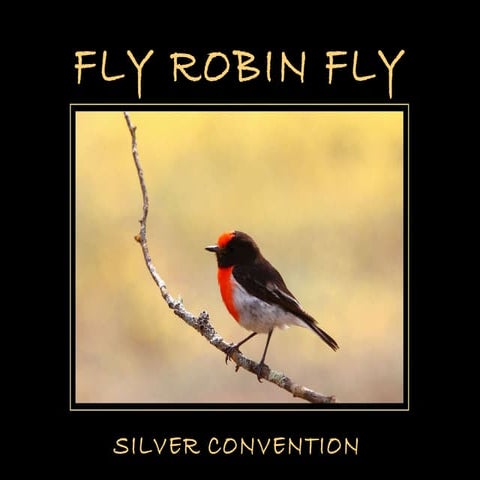 Fly Robin Fly ~ Birds | PPS