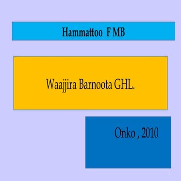 Qajeelfama_gahee_hojii_suparvaayizaroota_manneen_barnootaa_naann.pptx