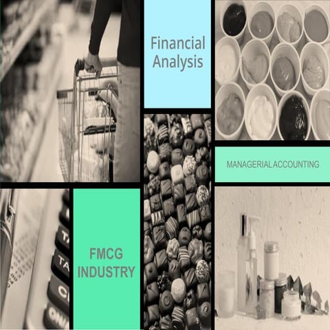 Financial Analysis of the Indian FMCG Industry | PDF