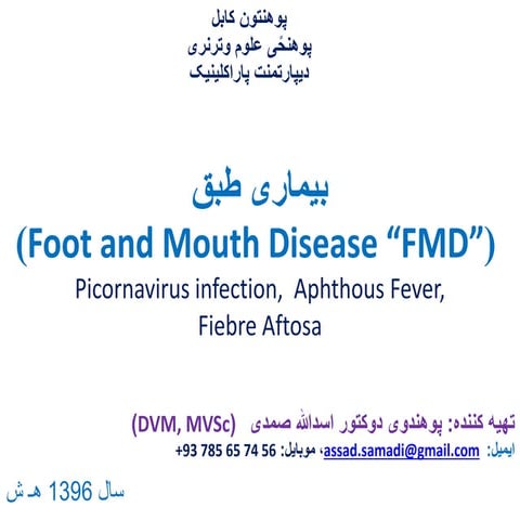 FMD | PPT