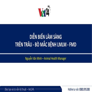 Diễn biến lâm sàng bệnh LMLM trên trâu bò (FMD on Cow | PPTX