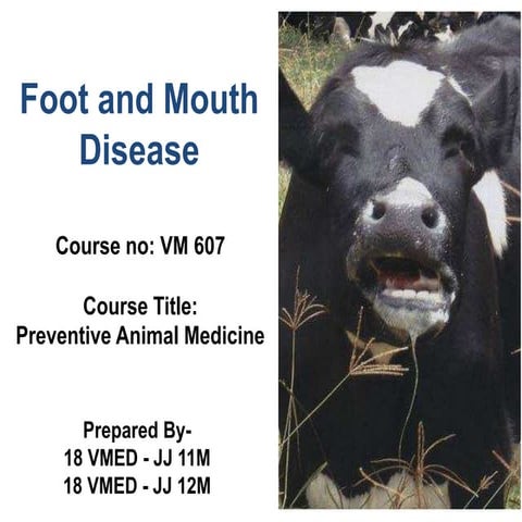 Foot and Mouth Disease | PPTX | Infectious Diseases | Diseases and ...