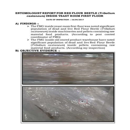 Entomologist report for red flour beetle. | PDF