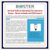 Fmo control flow cytometry facs-analysis