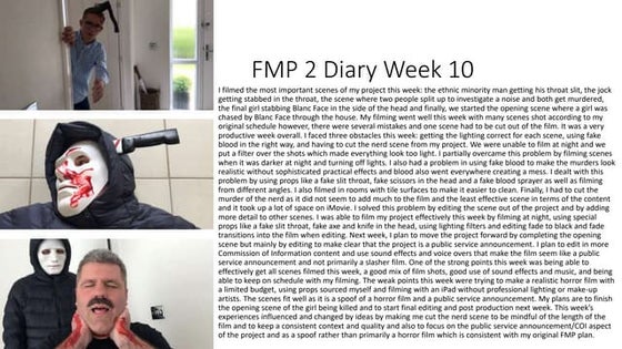 FMP 2 Diary Week 12.pptx