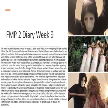 FMP 2 Diary Week 1.pptx