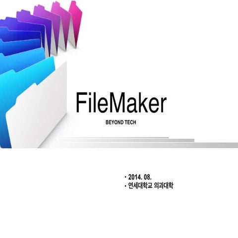 FileMaker Medical Presentation | PDF