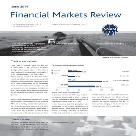 Financial Markets Review (June 2014) | PDF