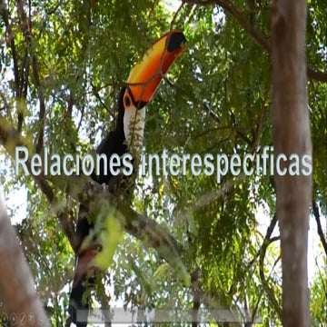 Relaciones interespecificas | PPTX