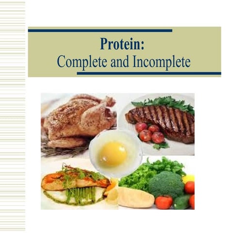 Protein | PPT
