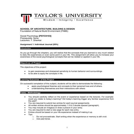 Social Psychology Fnbe journal assignment | DOC
