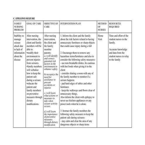family Nursing Care Plan for clients with seizure | PDF