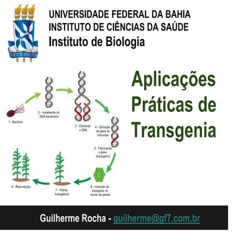 Transgenia aplicações-práticas | PPTX