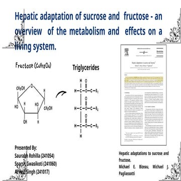 Fructose Metabolism Study and relations to fatty liverpptx | PPTX