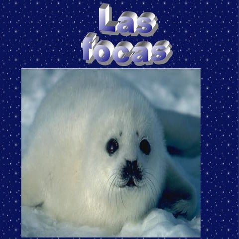 ¿Qué son las focas? • Son mamíferos marinos que viven en el agua, pero ...
