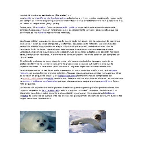 Paula | PDF