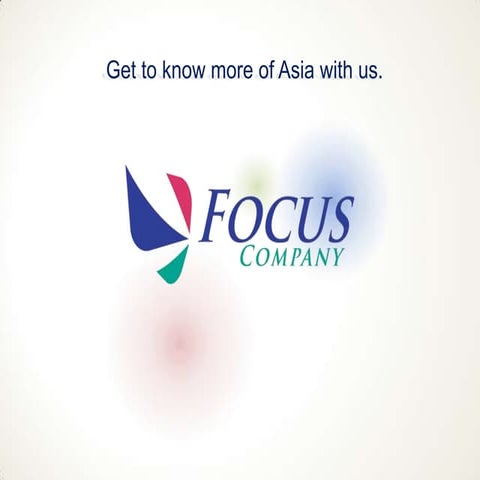 Focus Company Summary 2011 | PPT
