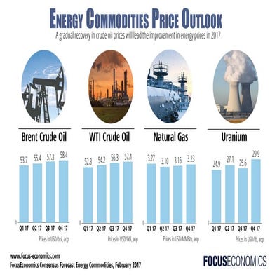 Energy Commodities Price Outlook 2017 | PPT
