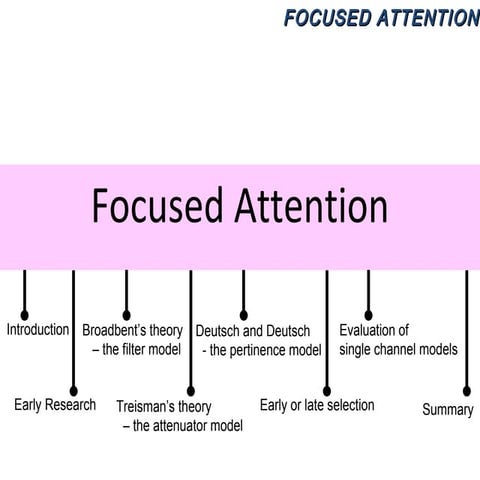 Focused Attention | PPT