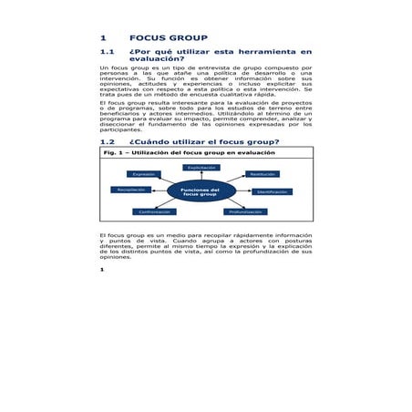 Focus group | PDF