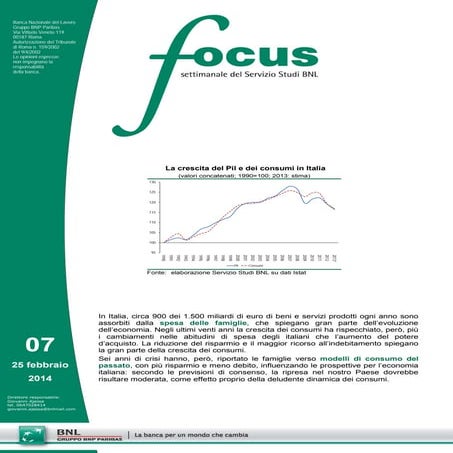 BNL Focus #7 | PDF