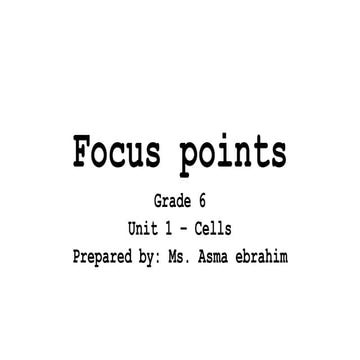 Focus points.pptx